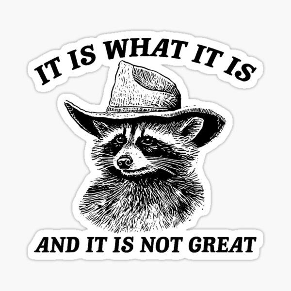 "It Is What It Is And It Is Not Great Funny Raccoon sarcastic T-Shirt ...