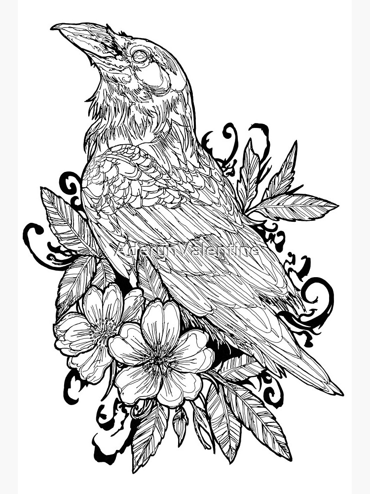 Raven Tattoo Sketch