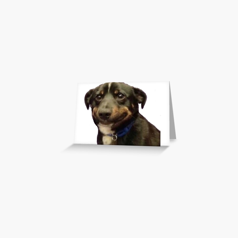 "awkward dog smile meme" Greeting Card by syracuse2 | Redbubble