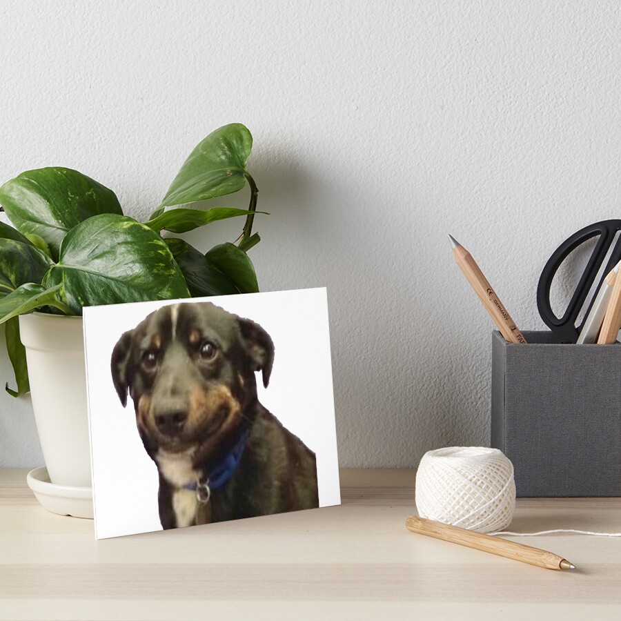 "awkward dog smile meme" Art Board Print by syracuse2 | Redbubble