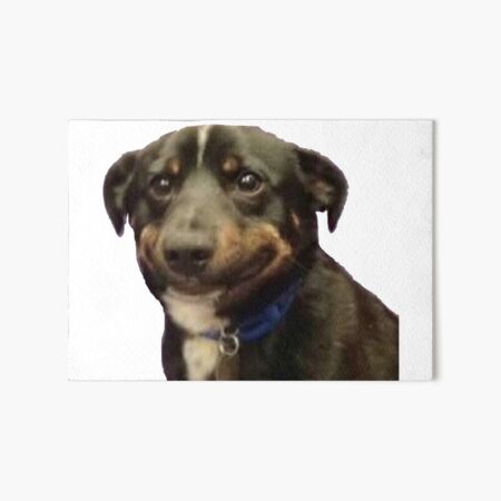 "awkward dog smile meme" Art Board Print by syracuse2 | Redbubble