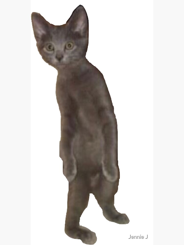 Póster «gato incómodo meme de pie» de syracuse2 | Redbubble