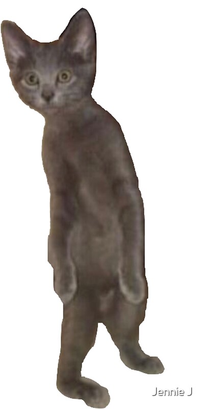 "awkward cat meme standing" by Jennie Jacobs | Redbubble