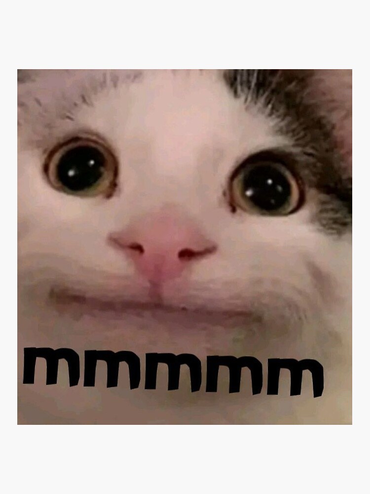 "mmmm meme" Sticker for Sale by savagememestore | Redbubble