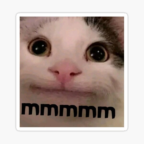 "mmmm meme" Sticker for Sale by savagememestore | Redbubble