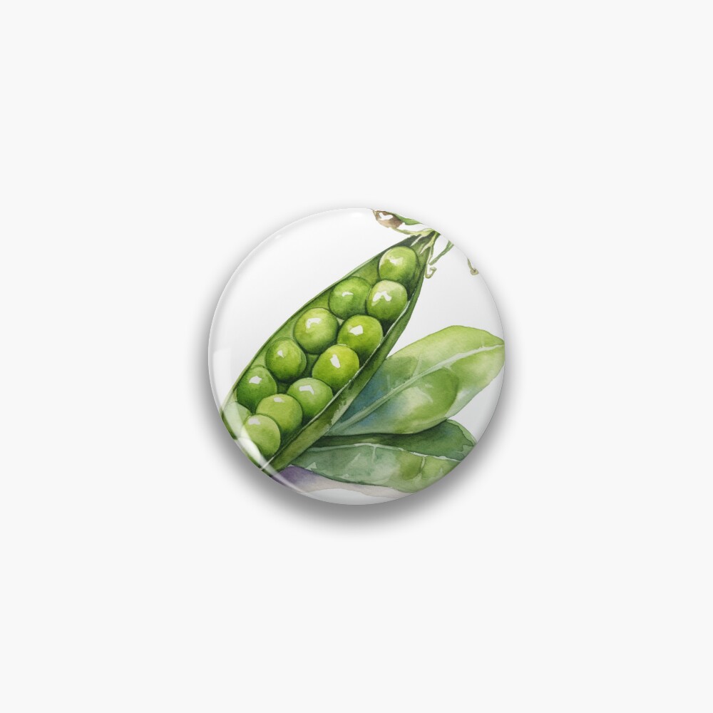 "Watercolor pea painting" Sticker for Sale by Nobow | Redbubble