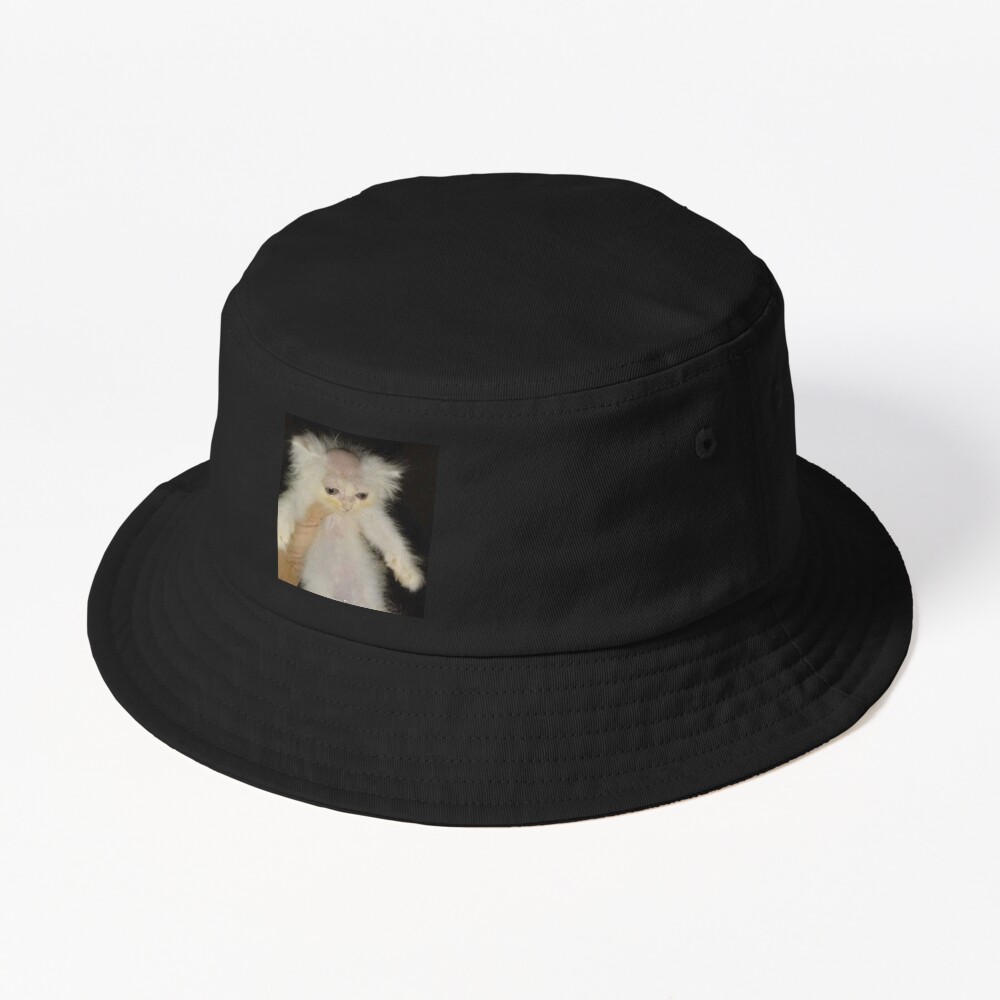 "bald cat lmao" Sticker for Sale by CatDealer | Redbubble