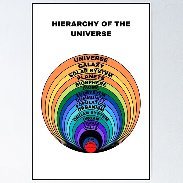 "Hierarchy of the universe, from particle to universe" Poster for Sale ...
