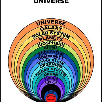 "Hierarchy of the universe, from particle to universe" Poster for Sale ...
