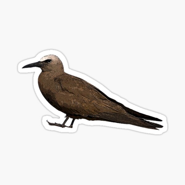 "Brown Noddy Color Design " Sticker for Sale by designsasstultd | Redbubble