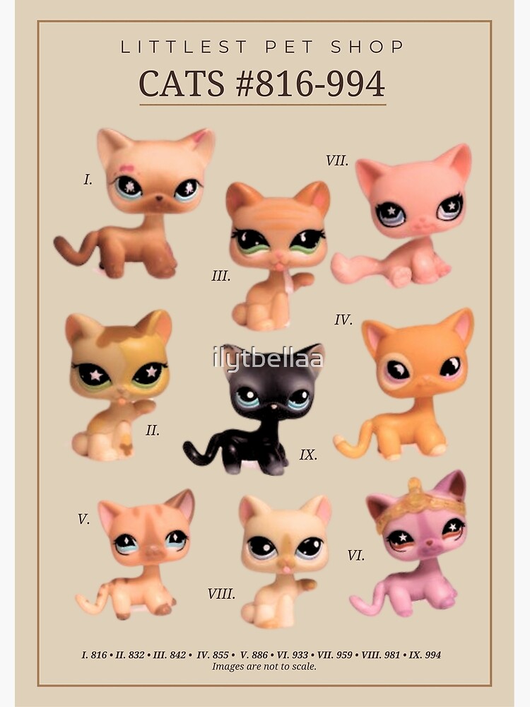Littlest Pet Shop Cats Orange