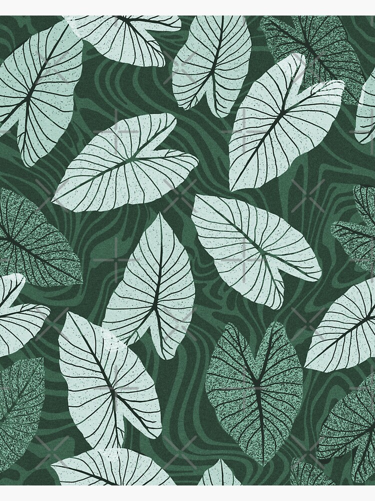 "Reflections of Kalo-Evergreen" Sticker for Sale by Linda Maliuana ...