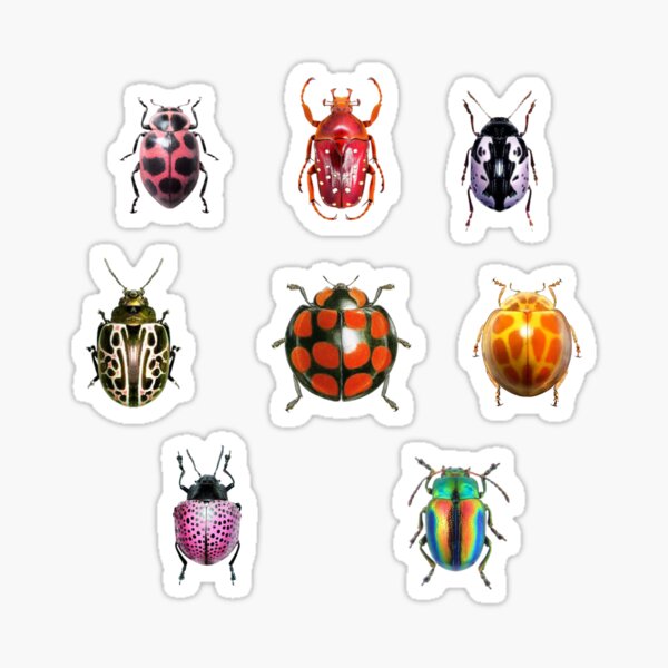 "Bug Sticker Pack" Sticker for Sale by pots-shop | Redbubble