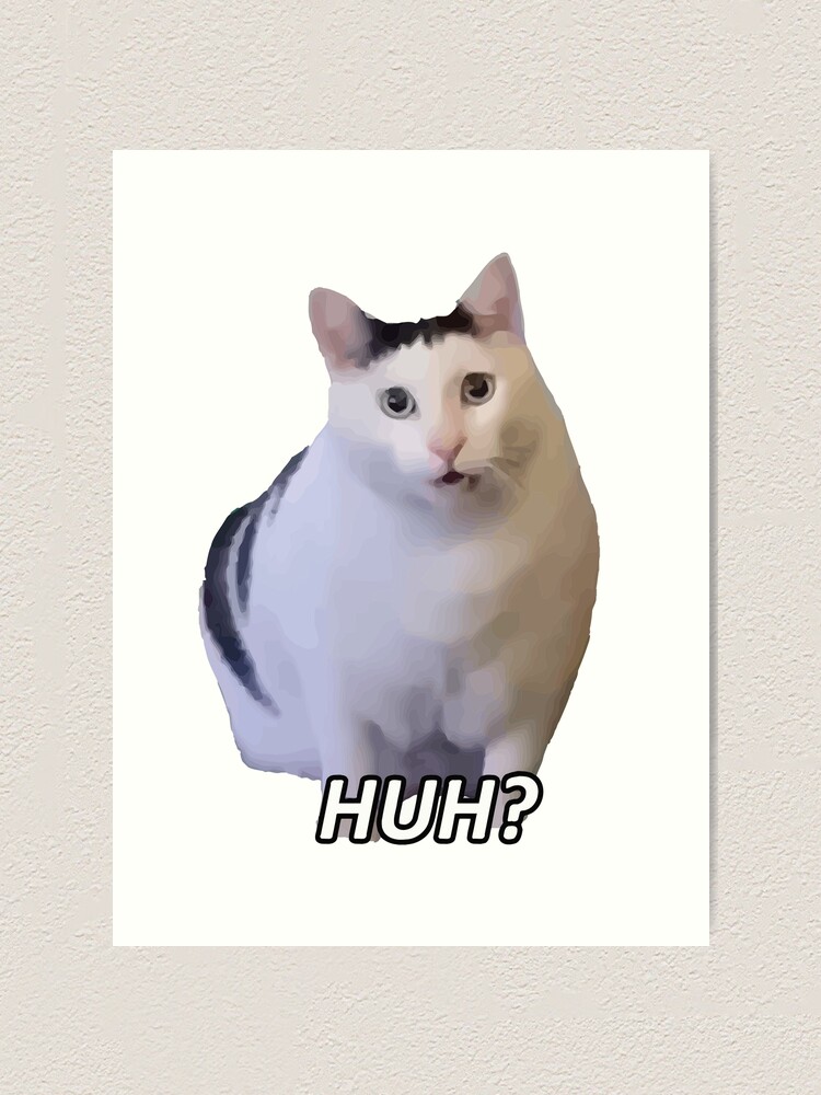 "Huh Cat Meme Funny" Art Print for Sale by IcePools | Redbubble