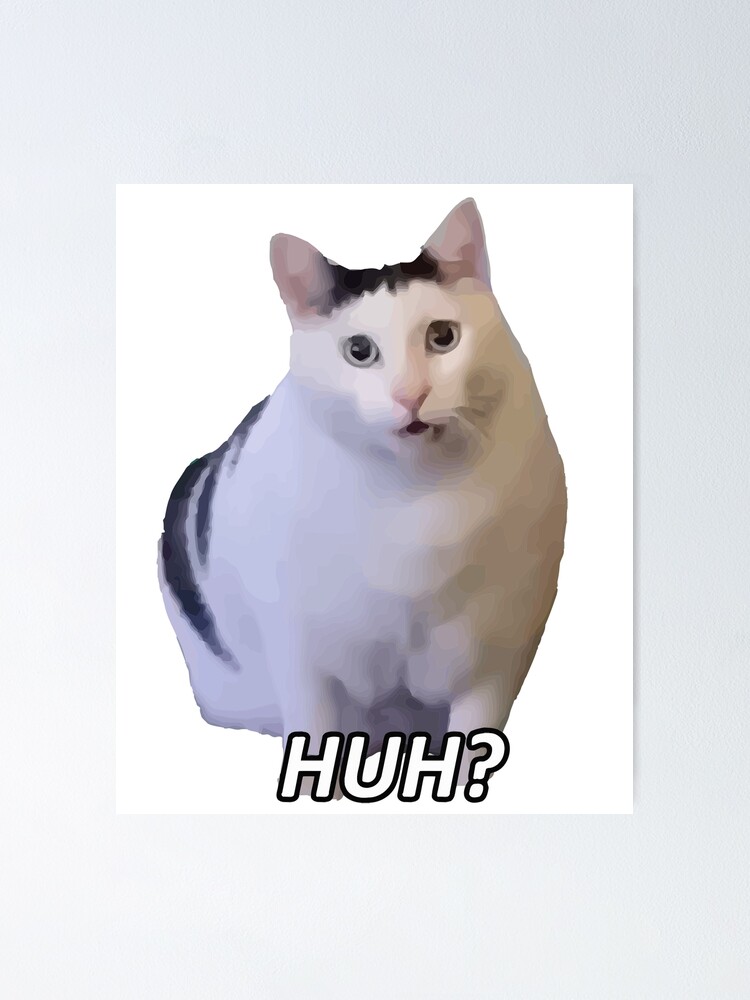 "Huh Cat Meme Funny" Poster for Sale by IcePools | Redbubble
