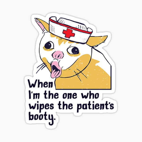 "Nursing Memes in Cat Theme" Sticker for Sale by GuigShop | Redbubble