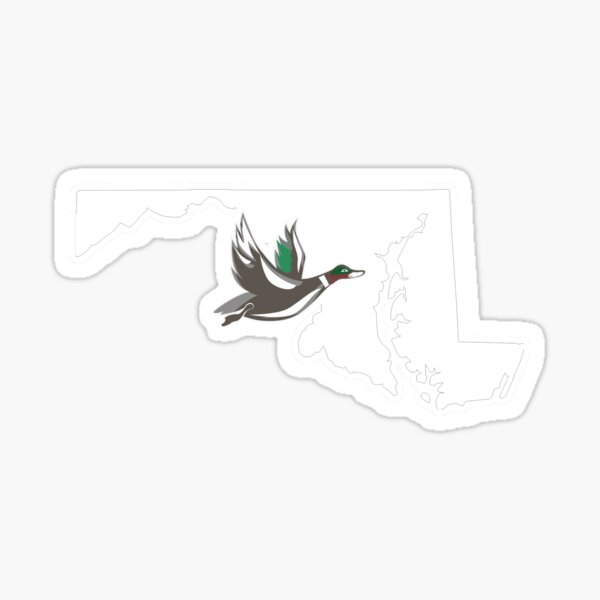 "Hunting Teal Maryland Banded Duck Hunting Wood Duck" Sticker for Sale ...