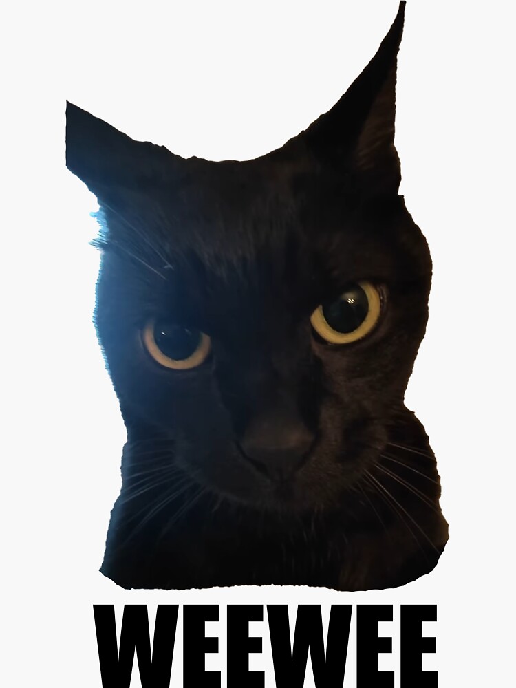 "Weewee cat meme" Sticker for Sale by Pajs | Redbubble