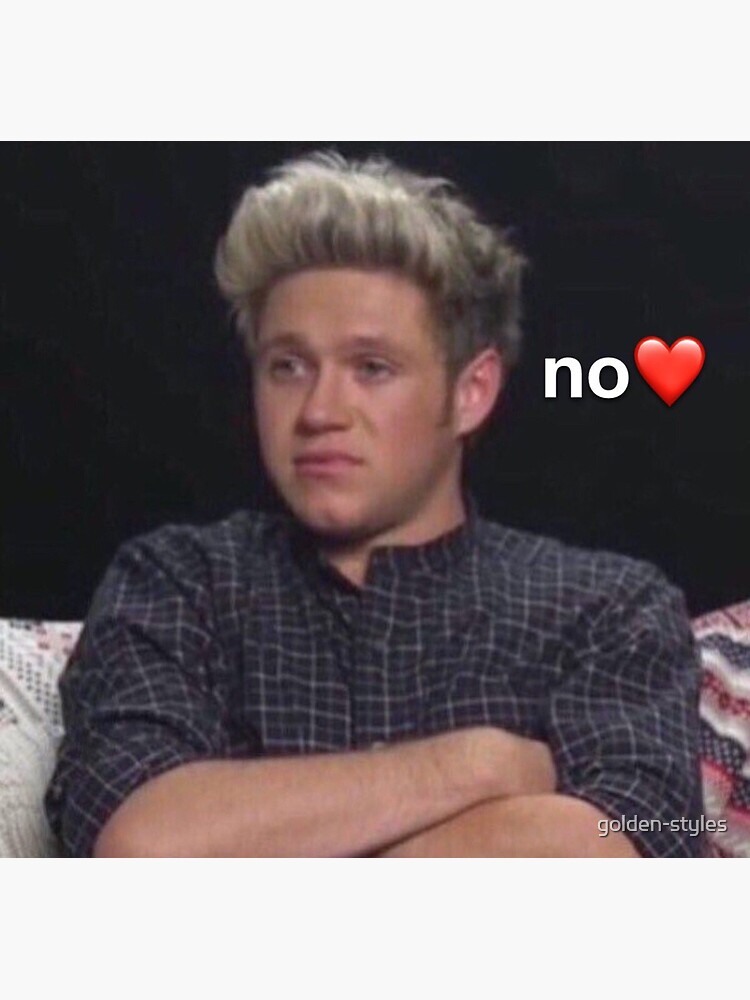 "No - Niall Meme" Sticker for Sale by golden-styles | Redbubble