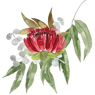 "Australian Native Bush Watercolour" Art Print for Sale by ...