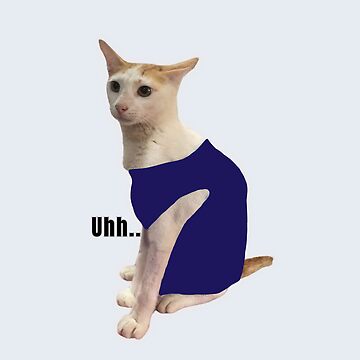 "Uhh Cat Meme" Sticker for Sale by filomay | Redbubble