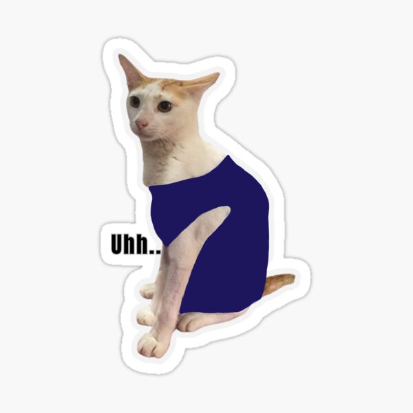 "Uhh Cat Meme" Sticker for Sale by filomay | Redbubble