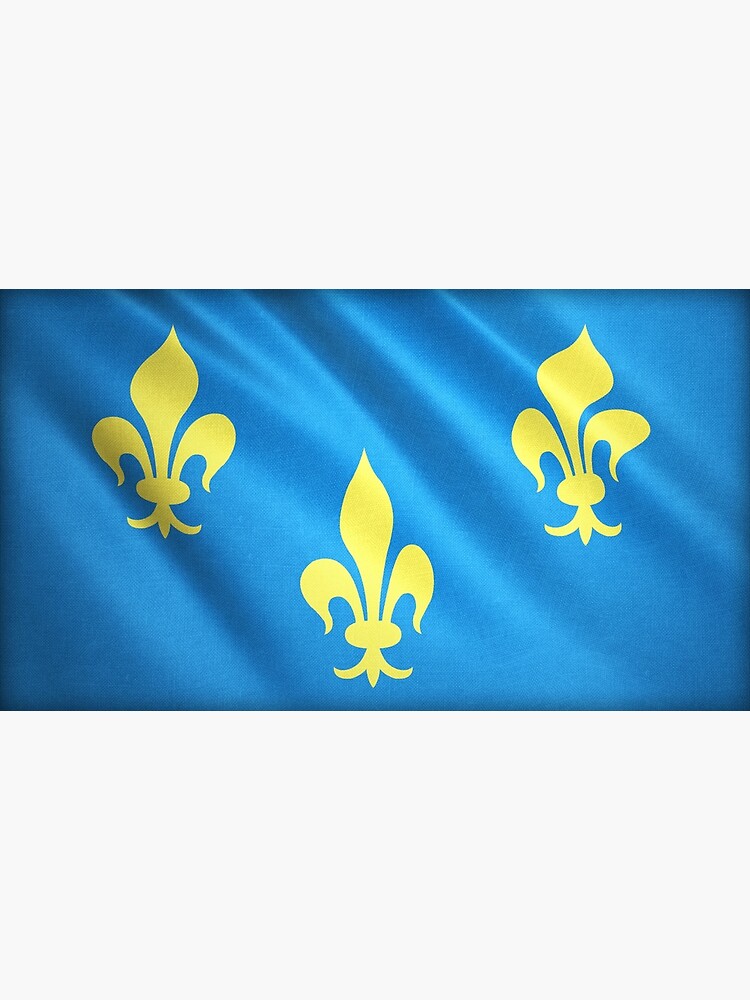 "Age Of Empires 4 The French Civilization Flag - AOE4 French" Poster ...