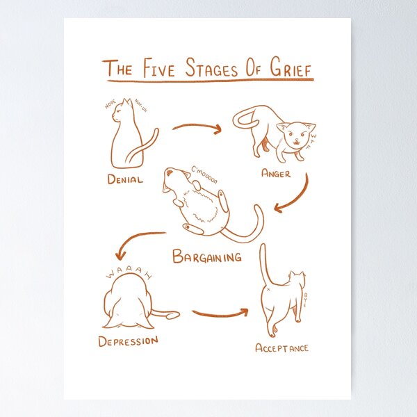 "The Five Stages Of Grief" Poster for Sale by CoCoFloFlo | Redbubble