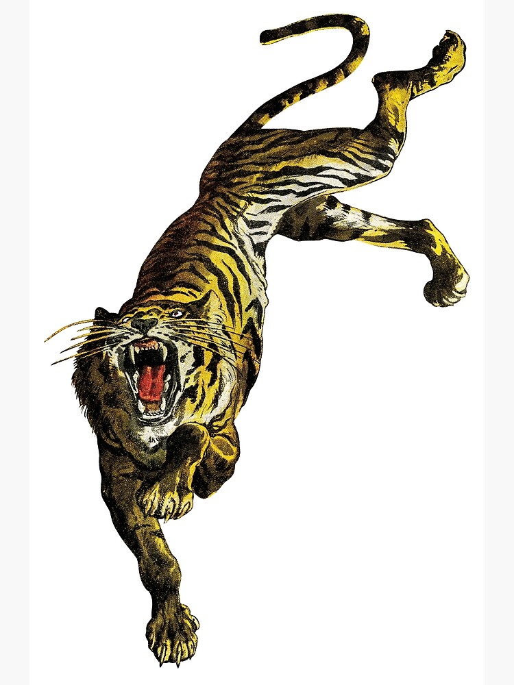 "Twisted Tiger" Poster by TIGERRIFIC | Redbubble