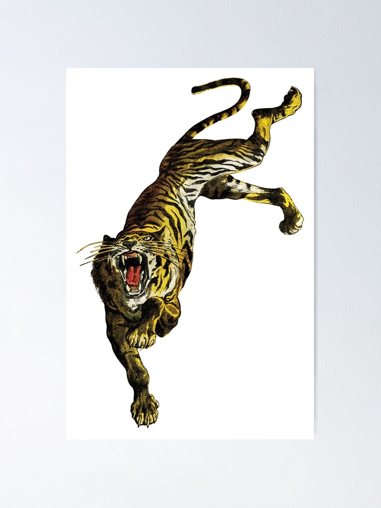 "Twisted Tiger" Poster by TIGERRIFIC | Redbubble