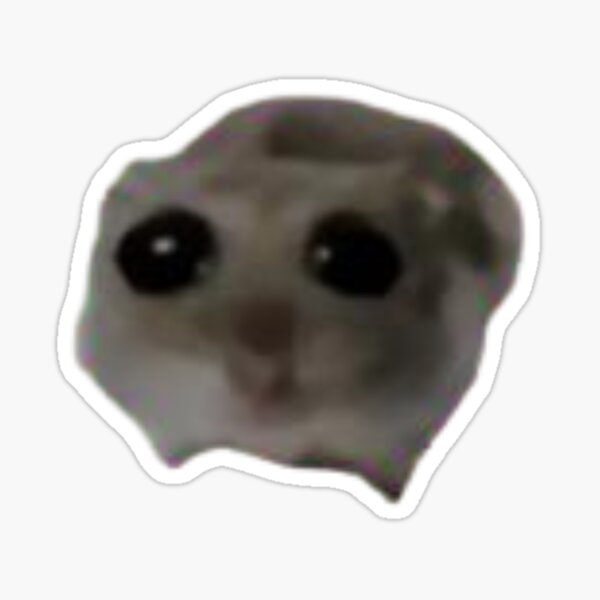 "Sad Hamster Meme" Sticker for Sale by TheDressShoppe | Redbubble