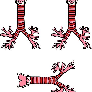 "Trachea Stickers Set" Sticker for Sale by AYOUB-SPACE | Redbubble