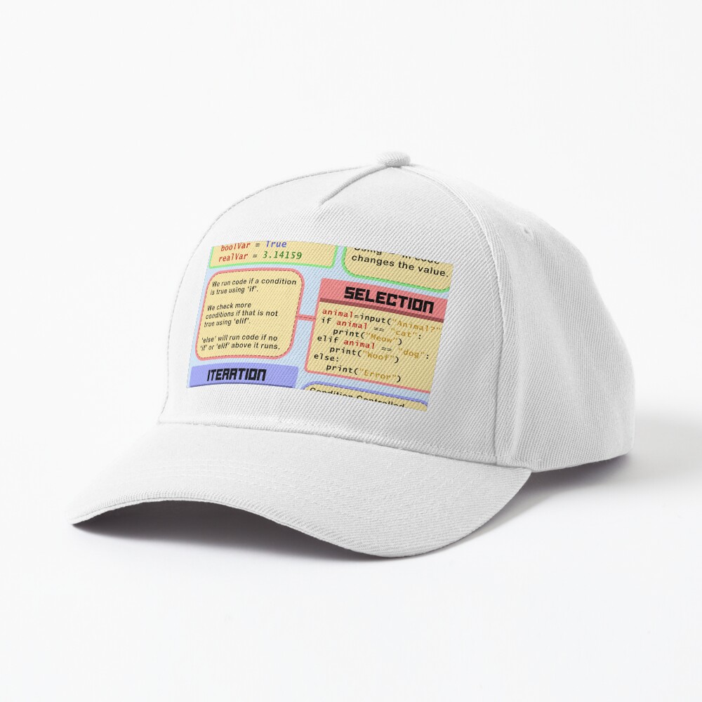 "Python Beginner Concepts" Poster for Sale by elliobot | Redbubble