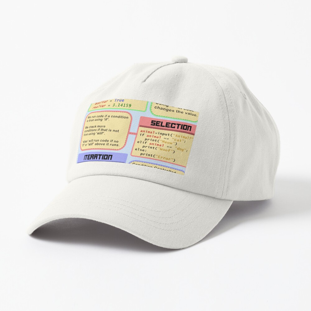 "Python Beginner Concepts" Poster for Sale by elliobot | Redbubble