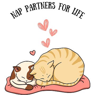 "Catnap: Adorable Cat Nap Design" Sticker for Sale by SHK-Designs ...
