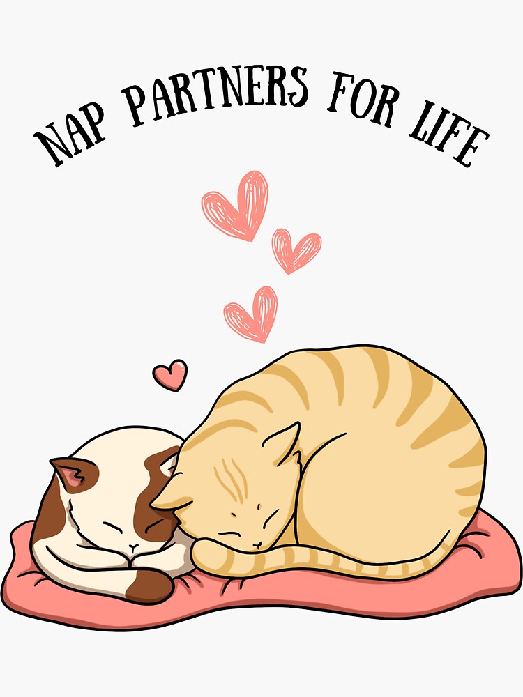 "Catnap: Adorable Cat Nap Design" Sticker for Sale by SHK-Designs ...