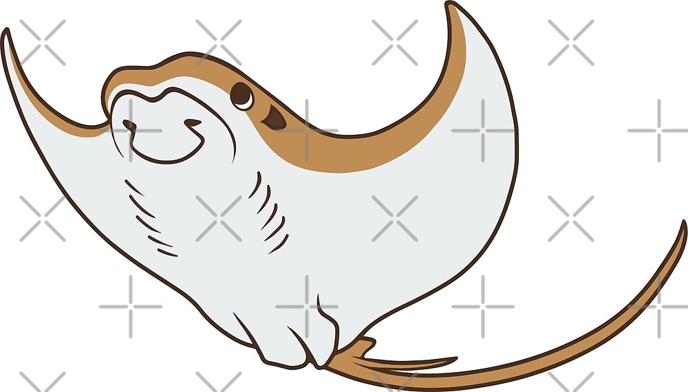 "Cownose ray" by Jen Richards | Redbubble