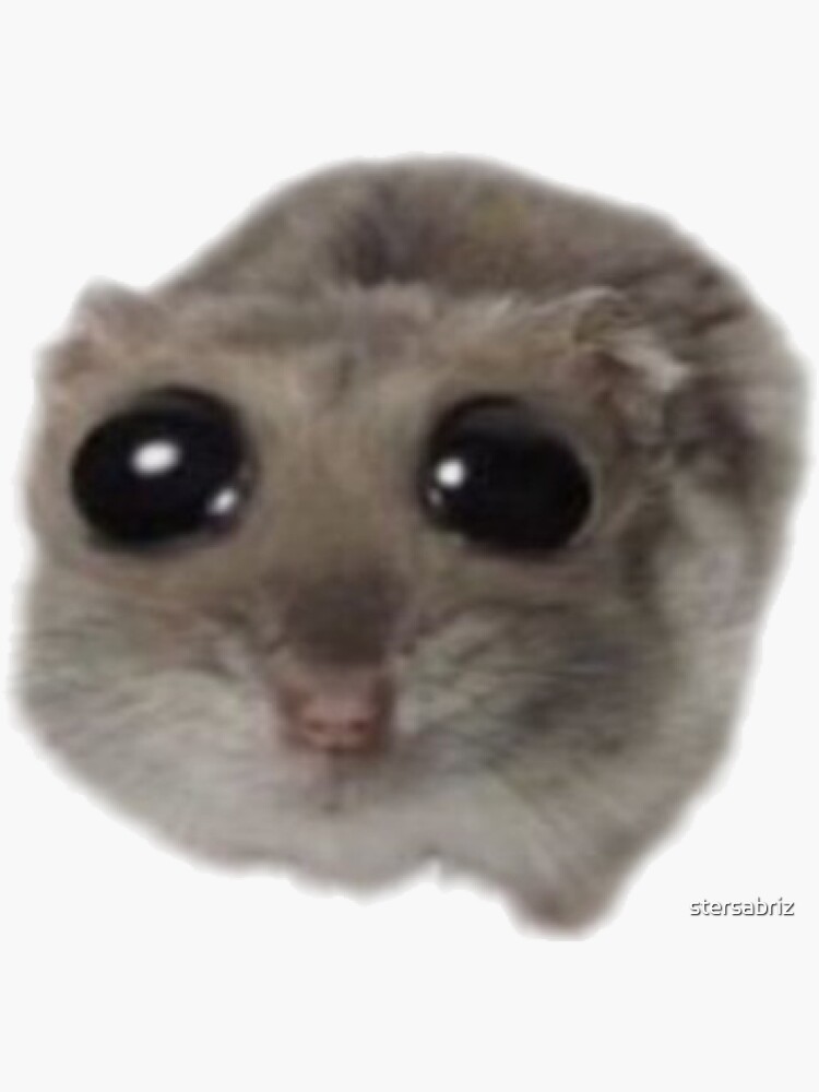 "Sad Hamster Meme" Sticker for Sale by stersabriz | Redbubble