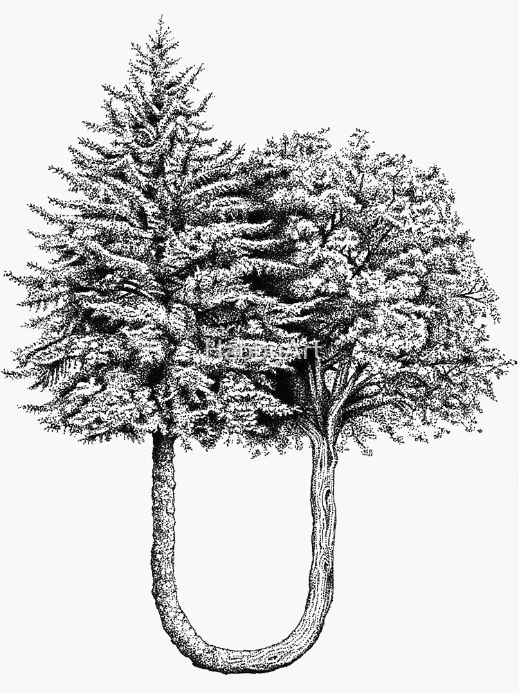 "Unity Trees" Sticker for Sale by HabbyArt | Redbubble