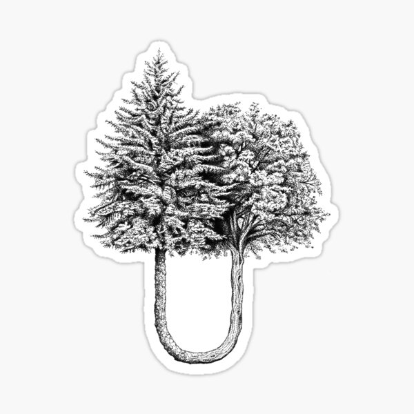 "Unity Trees" Sticker for Sale by HabbyArt | Redbubble