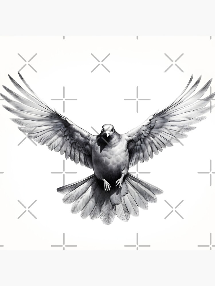 Sticker for Sale mit "Schwarz-weiße Tauben-Bleistiftzeichnung" von ...