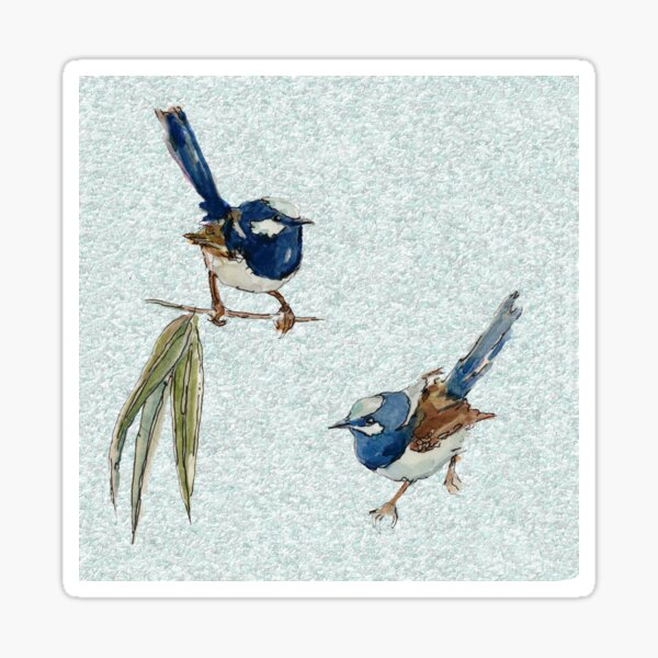 "Blue wrens green pebbles" Sticker for Sale by pamfox | Redbubble