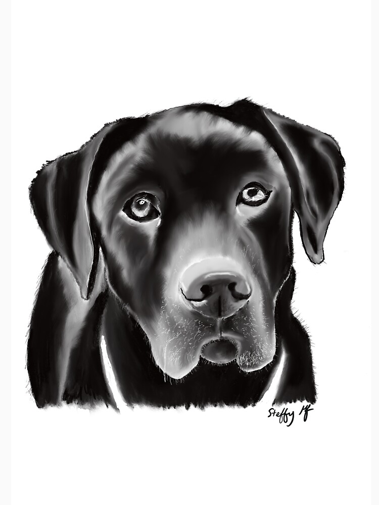"Steffy" Essential T-Shirt for Sale by MartyJudd | Redbubble