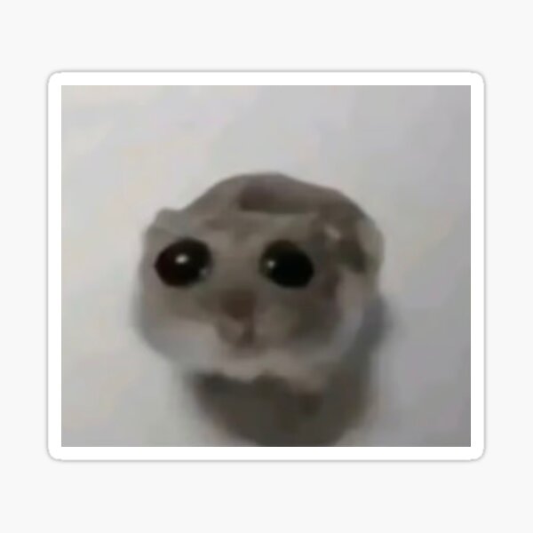 "Sad Hamster Meme " Sticker for Sale by sawasthi98 | Redbubble