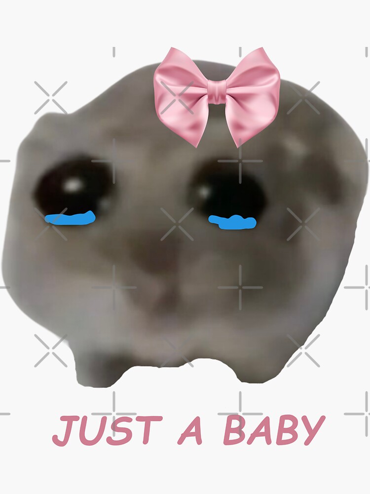 "Sad hamster meme baby" Sticker for Sale by BookishApparell | Redbubble