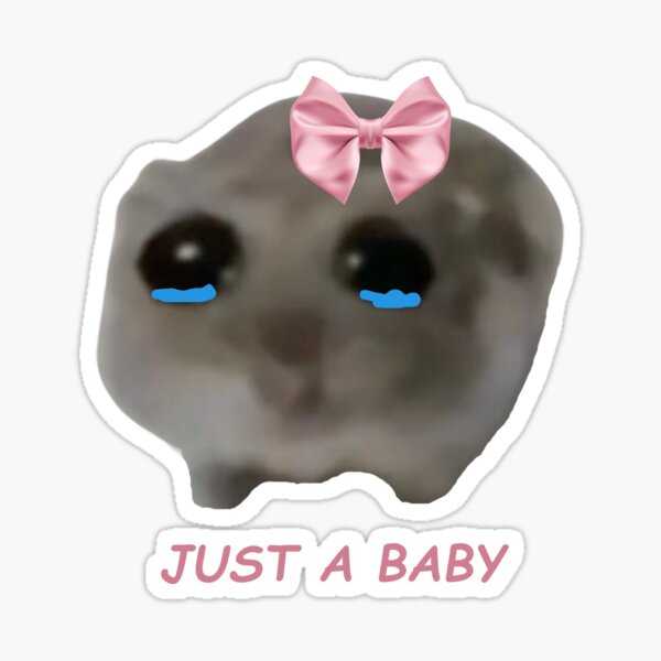 "Sad hamster meme baby" Sticker for Sale by BookishApparell | Redbubble