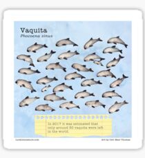 Vaquita: Stickers | Redbubble