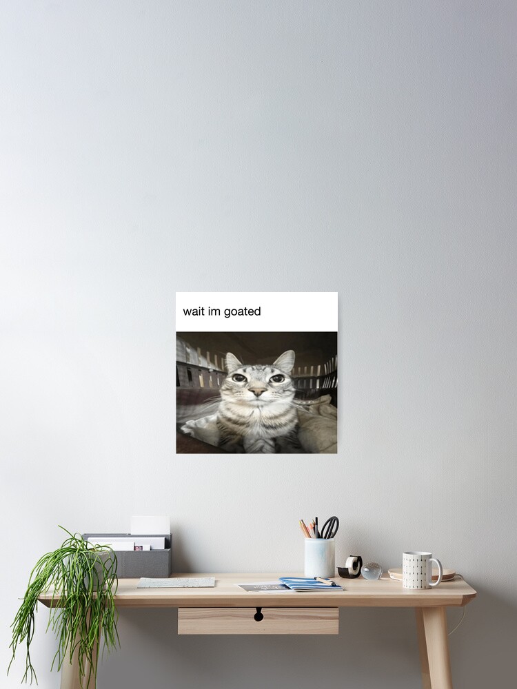 "wait im goated cat" Poster for Sale by shlaboza | Redbubble