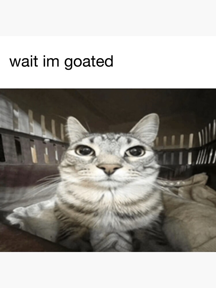 "wait im goated cat" Poster for Sale by shlaboza | Redbubble