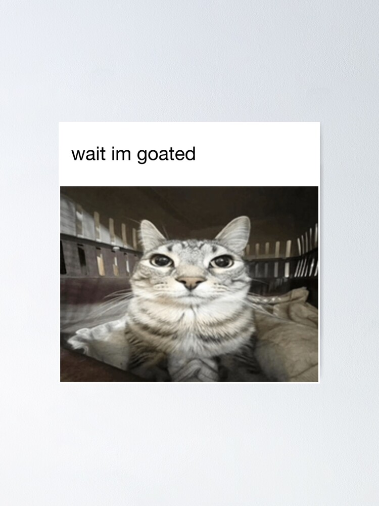 "wait im goated cat" Poster for Sale by shlaboza | Redbubble